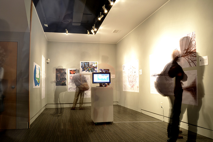 Exhibit: The Art of Networks – isabelmeirelles.com